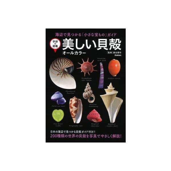 発売日:2024年06月 / ジャンル:物理・科学・医学 / フォーマット:本 / 出版社:Ｇａｋｋｅｎ / 発売国:日本 / ISBN:9784054069985 / アーティストキーワード:奥谷喬司 内容詳細:日本の海辺で見つかる貝殻ガ...