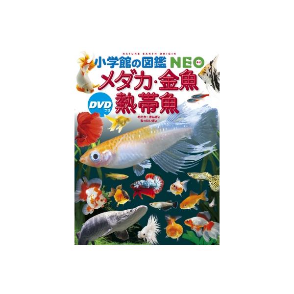 発売日:2024年06月 / ジャンル:物理・科学・医学 / フォーマット:図鑑 / 出版社:小学館 / 発売国:日本 / ISBN:9784092172289 / アーティストキーワード:岡本信明 内容詳細:写真にこだわり、魚たちの色を美...