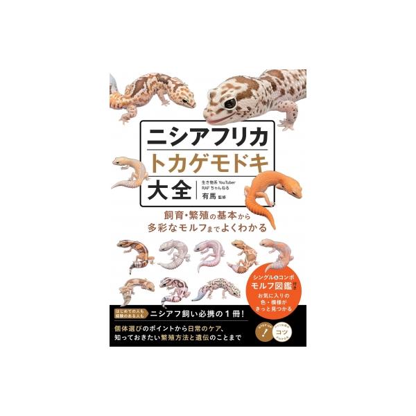 発売日:2024年10月 / ジャンル:実用・ホビー / フォーマット:本 / 出版社:メイツユニバーサルコンテンツ / 発売国:日本 / ISBN:9784780429534 / アーティストキーワード:Rafちゃんねる有馬 内容詳細:は...