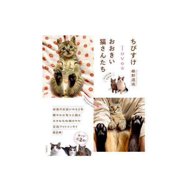 発売日:2024年08月 / ジャンル:アート・エンタメ / フォーマット:本 / 出版社:三笠書房 / 発売国:日本 / ISBN:9784837940050 / アーティストキーワード:椹野道流 フシノミチル内容詳細:雨夜の出会いから２...