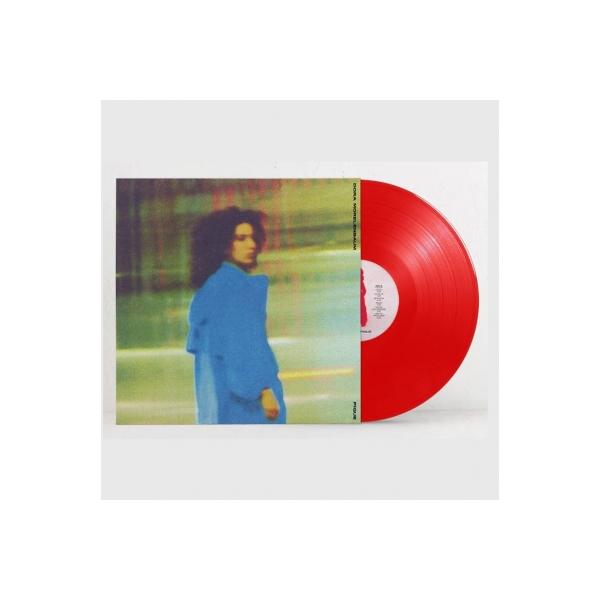 発売日:2024年10月31日 / ジャンル:ワールド / フォーマット:LP / 組み枚数:1 / レーベル:Mr Bongo / 発売国:UK / 商品番号:MRBLP-275R / アーティストキーワード:Dora Morelenba...