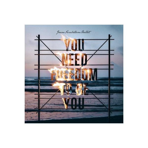 発売日:2024年10月23日 / ジャンル:ジャパニーズポップス / フォーマット:CD / 組み枚数:1 / レーベル:日本コロムビア / 発売国:日本 / 商品番号:COCP-42383 / アーティストキーワード:9mm Parab...