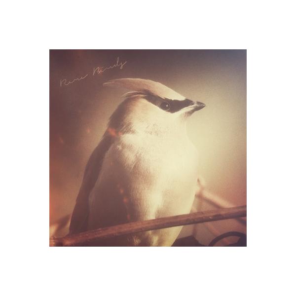 発売日:2024年09月30日 / ジャンル:ジャパニーズポップス / フォーマット:CD / 組み枚数:1 / レーベル:ウワノソラ / 発売国:日本 / 商品番号:UWAN-008 / アーティストキーワード:Ben Sadock / ...