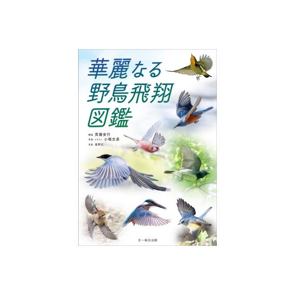 発売日:2024年11月 / ジャンル:物理・科学・医学 / フォーマット:本 / 出版社:文一総合出版 / 発売国:日本 / ISBN:9784829972564 / アーティストキーワード:齊藤安行 内容詳細:史上初！掲載種すべてが飛翔...