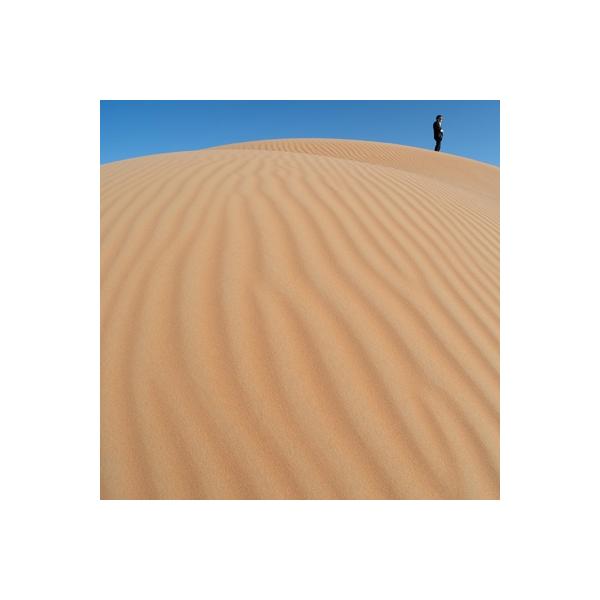 発売日:2025年01月15日 / ジャンル:ジャパニーズポップス / フォーマット:Blu-spec CD / 組み枚数:2 / レーベル:ソニーミュージックエンタテインメント / 発売国:日本 / 商品番号:MHCL-31037 / そ...