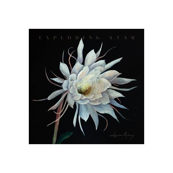 発売日:2025年01月31日 / ジャンル:ロック / フォーマット:CD / 組み枚数:1 / レーベル:Signature Sounds / 発売国:UK / 商品番号:CDSIG-2159 / アーティストキーワード:Heather...