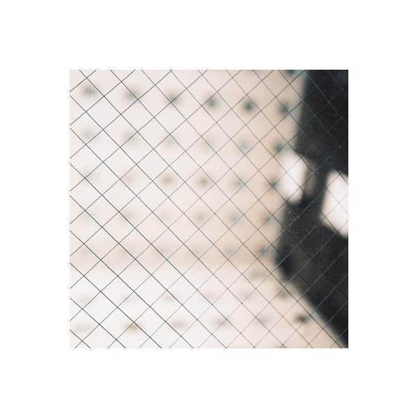 発売日:2025年01月24日 / ジャンル:ジャパニーズポップス / フォーマット:CD / 組み枚数:1 / レーベル:Flake Sounds / 発売国:日本 / 商品番号:FLAKES-291 / アーティストキーワード:揺らぎ ...