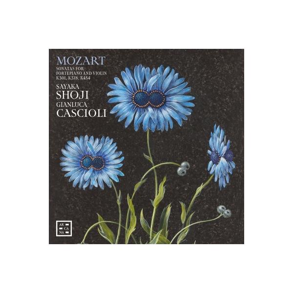 発売日:2025年02月13日 / ジャンル:クラシック / フォーマット:CD / 組み枚数:1 / レーベル:Naxos Domestic *cl* / 発売国:日本 / 商品番号:NYCX-10507 / アーティストキーワード:Mo...