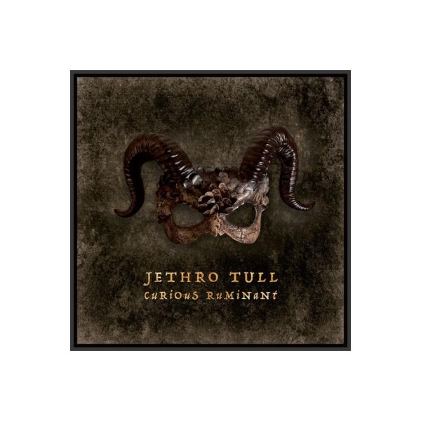 発売日:2025年03月07日 / ジャンル:ロック / フォーマット:CD / 組み枚数:1 / レーベル:Inside Out Music / 発売国:Europe / 商品番号:19802861882 / その他:デジパック / アー...
