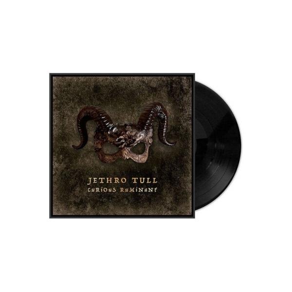 発売日:2025年03月07日 / ジャンル:ロック / フォーマット:LP / 組み枚数:1 / レーベル:Inside Out Music / 発売国:USA / 商品番号:19802874861 / アーティストキーワード:Jethr...