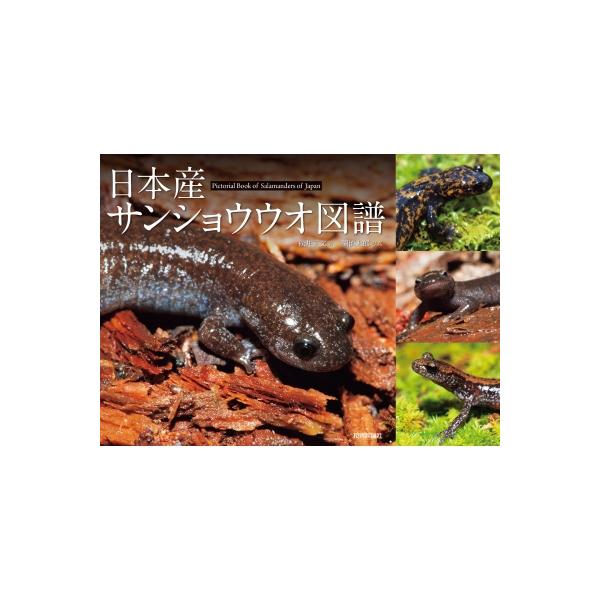 発売日:2025年04月 / ジャンル:物理・科学・医学 / フォーマット:本 / 出版社:技術評論社 / 発売国:日本 / ISBN:9784297148348 / アーティストキーワード:松井正文 内容詳細:目次:第１章　両生類について...