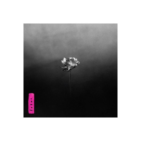 発売日:2025年06月06日 / ジャンル:ダンス＆ソウル / フォーマット:CD / 組み枚数:1 / レーベル:Awal / 発売国:日本 / 商品番号:BRC-763 / アーティストキーワード:Little Simz りとるしむず...