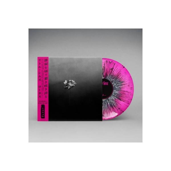 発売日:2025年06月06日 / ジャンル:ダンス＆ソウル / フォーマット:LP / 組み枚数:1 / レーベル:Awal / 発売国:Europe / 商品番号:SIM-001LPIBR / その他:限定盤 / アーティストキーワード...