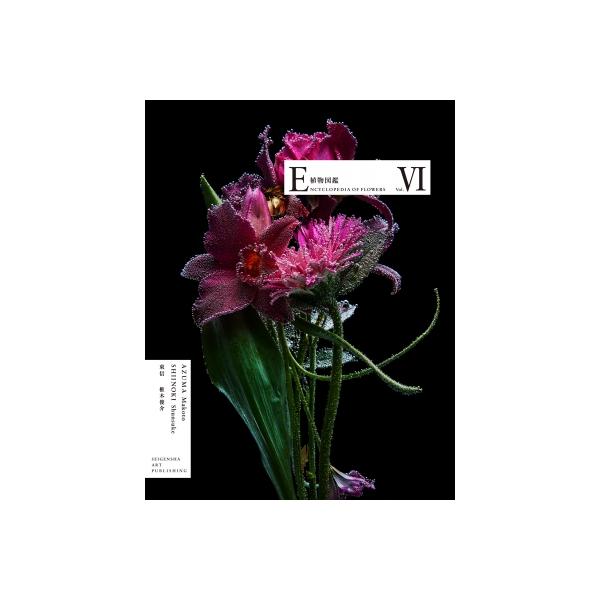 発売日:2025年04月 / ジャンル:アート・エンタメ / フォーマット:本 / 出版社:青幻舎 / 発売国:日本 / ISBN:9784861529856 / アーティストキーワード:東信 内容詳細:小さな種子でも、一粒、そしてまた一粒...