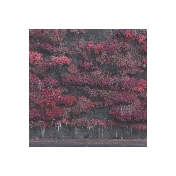 発売日:2025年05月09日 / ジャンル:ロック / フォーマット:CD / 組み枚数:1 / レーベル:Sleep Token/rca Reco / 発売国:Europe / 商品番号:19802903112 / アーティストキーワー...