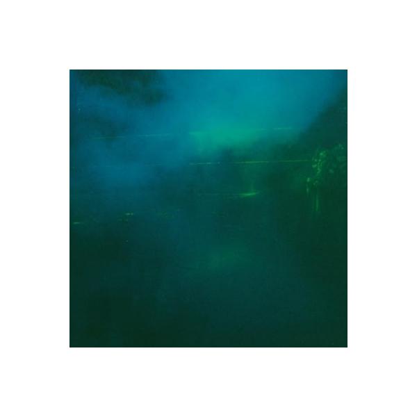 発売日:2025年06月06日 / ジャンル:ダンス＆ソウル / フォーマット:LP / 組み枚数:1 / レーベル:Drone / 発売国:Europe / 商品番号:DRONE-027LP / アーティストキーワード:Death In ...