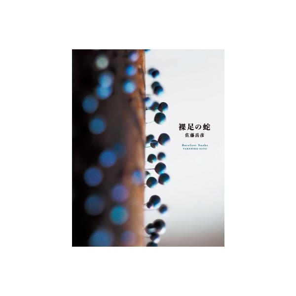 発売日:2025年04月 / ジャンル:アート・エンタメ / フォーマット:本 / 出版社:Ulus Publishing / 発売国:日本 / ISBN:9784991324642 / アーティストキーワード:佐藤岳彦 内容詳細:パプアニ...