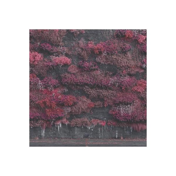 発売日:2025年06月25日 / ジャンル:ロック / フォーマット:CD / 組み枚数:1 / レーベル:ソニーミュージックエンタテインメント / 発売国:日本 / 商品番号:SICP-6703 / アーティストキーワード:Sleep ...