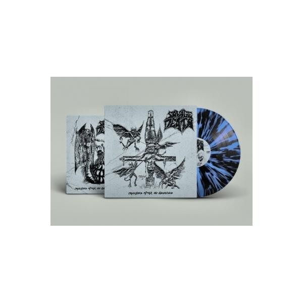 発売日:2025年06月10日 / ジャンル:ロック / フォーマット:LP / 組み枚数:1 / レーベル:Foad / 発売国:Europe / 商品番号:FOAD-011DH / その他:限定盤 / アーティストキーワード:Savag...