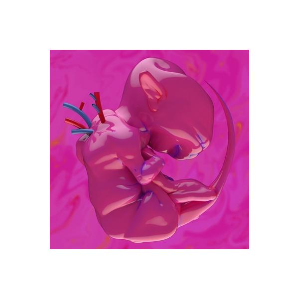 発売日:2025年08月01日 / ジャンル:ジャパニーズポップス / フォーマット:CD / 組み枚数:1 / レーベル:エコラプトメノス / 発売国:日本 / 商品番号:EKKO-005 / アーティストキーワード:春ねむり  / タイ...