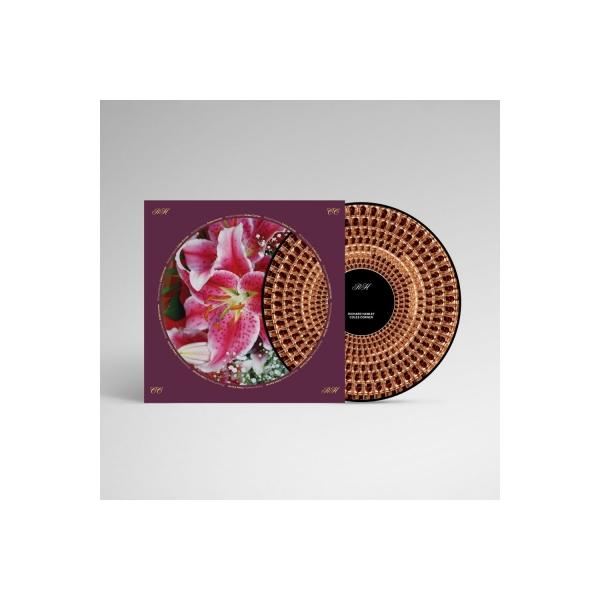 発売日:2025年08月01日 / ジャンル:ロック / フォーマット:LP / 組み枚数:1 / レーベル:Parlophone / 発売国:Europe / 商品番号:2173.262410 / アーティストキーワード:Richard ...