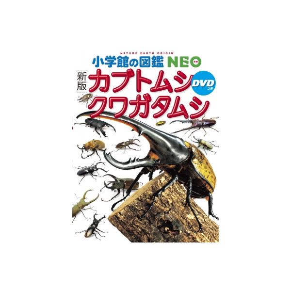 発売日:2025年07月 / ジャンル:物理・科学・医学 / フォーマット:図鑑 / 出版社:小学館 / 発売国:日本 / ISBN:9784092173163 / アーティストキーワード:小池啓一 内容詳細:美しい標本写真で昆虫の形態がよ...