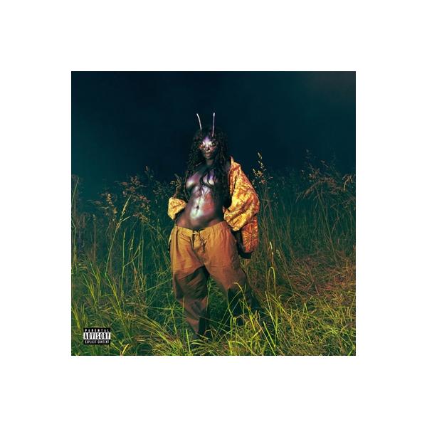 発売日:2025年07月25日 / ジャンル:ダンス＆ソウル / フォーマット:CD / 組み枚数:2 / レーベル:Top Dawg Entertainme / 発売国:Europe / 商品番号:19802892012 / その他:デラ...