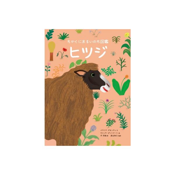 発売日:2025年09月 / ジャンル:物理・科学・医学 / フォーマット:絵本 / 出版社:化学同人 / 発売国:日本 / ISBN:9784759824575 / アーティストキーワード:イラリア・デモンティ 内容詳細:ポップでかわいい...