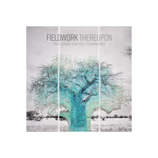 発売日:2025年09月05日 / ジャンル:ジャズ / フォーマット:LP / 組み枚数:1 / レーベル:Pi Recordings / 発売国:UK / 商品番号:PIV-109 / アーティストキーワード:Fieldwork フィー...