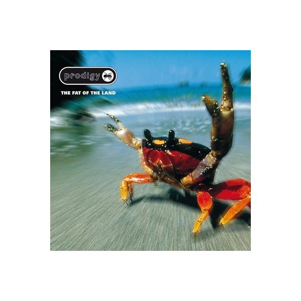 発売日:2025年08月08日 / ジャンル:ダンス＆ソウル / フォーマット:CD / 組み枚数:1 / レーベル:Xl Recordings / 発売国:日本 / 商品番号:XL-121CDJP / その他:4ボーナストラック, リイシ...