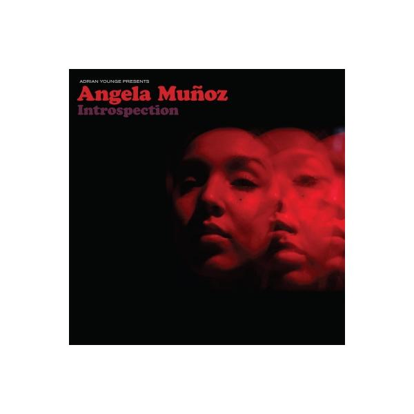 発売日:2025年09月05日 / ジャンル:ダンス＆ソウル / フォーマット:LP / 組み枚数:1 / レーベル:Linear Labs / 発売国:Europe / 商品番号:LL-014LP / アーティストキーワード:Angela...