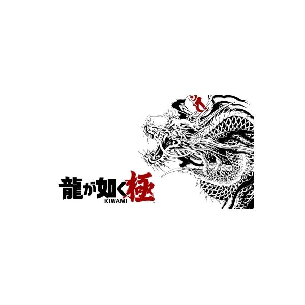 発売日:2025年11月13日 / ジャンル:ゲーム  / フォーマット:GAME / レーベル:セガ / 発売国:日本 / 商品番号:POTPAA-3DA / タイトルキーワード:【Nintendo Switch 2】龍が如く 極　りゅう...