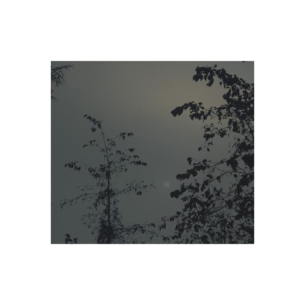 発売日:2025年10月24日 / ジャンル:ジャパニーズポップス / フォーマット:CD / 組み枚数:1 / レーベル:Schole / 発売国:日本 / 商品番号:SCH-088 / アーティストキーワード:当真伊都子 トウマイトコ ...