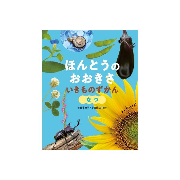 発売日:2026年02月 / ジャンル:物理・科学・医学 / フォーマット:全集・双書 / 出版社:金の星社 / 発売国:日本 / ISBN:9784323041254 / アーティストキーワード:小宮輝之