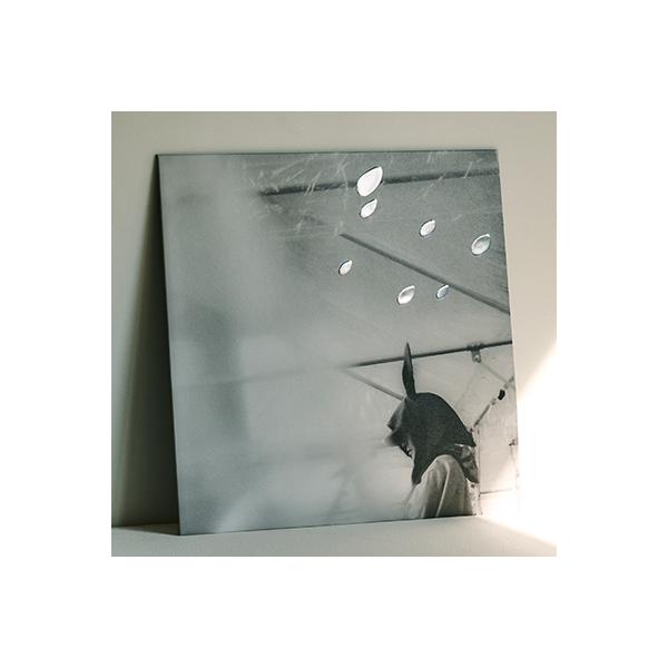 発売日:2025年12月24日 / ジャンル:ジャパニーズポップス / フォーマット:LP / 組み枚数:1 / レーベル:ユニバーサル / 発売国:日本 / 商品番号:PROV-7016 / アーティストキーワード:小沢健二 オザワケンジ...