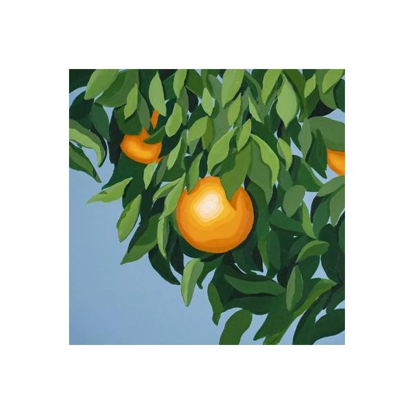 発売日:2026年01月30日 / ジャンル:ロック / フォーマット:CD / 組み枚数:1 / レーベル:Rough Trade / 発売国:Europe / 商品番号:RT-0569CD / アーティストキーワード:Tyler Bal...