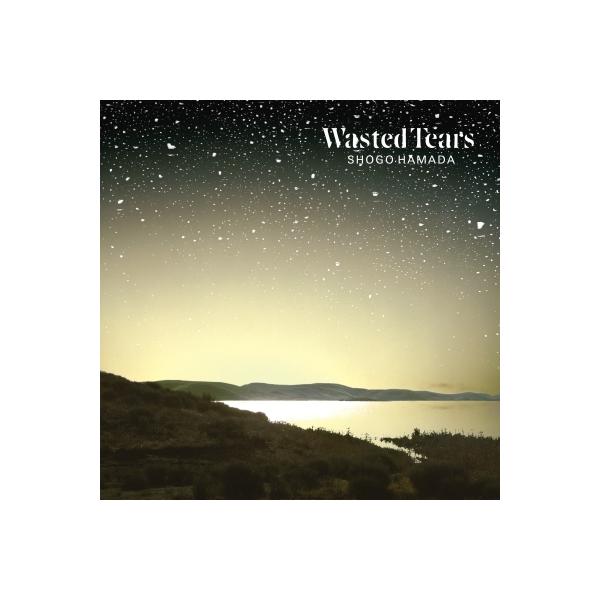 発売日:2026年01月21日 / ジャンル:ジャパニーズポップス / フォーマット:LP / 組み枚数:1 / レーベル:ソニーミュージックエンタテインメント / 発売国:日本 / 商品番号:SEJL-109 / その他:限定盤 / アー...