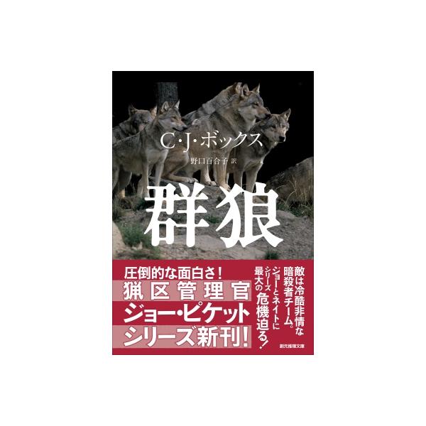 発売日:2025年12月 / ジャンル:文芸 / フォーマット:文庫 / 出版社:東京創元社 / 発売国:日本 / ISBN:9784488127190 / アーティストキーワード:C・j・ボックス 内容詳細:猟区管理官ジョー・ピケットは、...