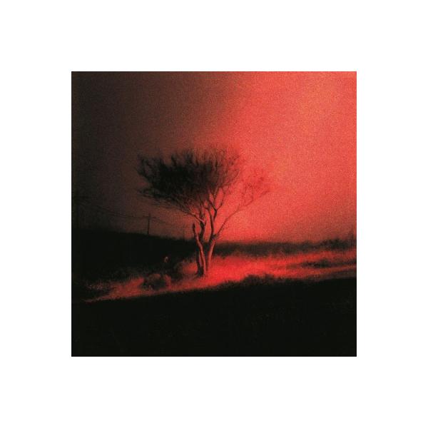 発売日:2026年02月06日 / ジャンル:ダンス＆ソウル / フォーマット:LP / 組み枚数:1 / レーベル:Palace Creek / 発売国:UK / 商品番号:8704742828 / アーティストキーワード:Joji