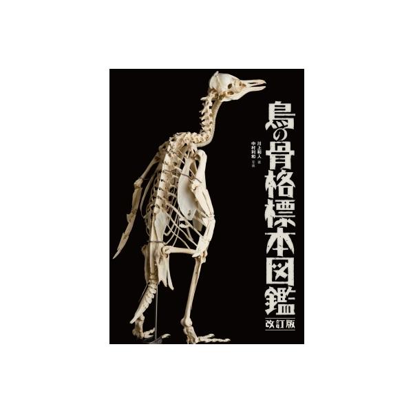 発売日:2026年01月 / ジャンル:物理・科学・医学 / フォーマット:図鑑 / 出版社:文一総合出版 / 発売国:日本 / ISBN:9784829975176 / アーティストキーワード:川上和人 内容詳細:ダチョウからスズメまで、...