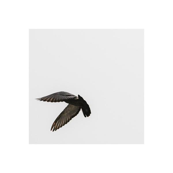 発売日:2025年12月26日 / ジャンル:韓国・アジア / フォーマット:CD / 組み枚数:1 / レーベル:Antenna / 発売国:日本 / 商品番号:RCIP-0382 / その他:紙ジャケ / アーティストキーワード:Luc...