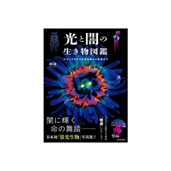 発売日:2026年02月 / ジャンル:物理・科学・医学 / フォーマット:図鑑 / 出版社:Kadokawa / 発売国:日本 / ISBN:9784041167335 / アーティストキーワード:眼遊 内容詳細:ブラックライトを当てると...