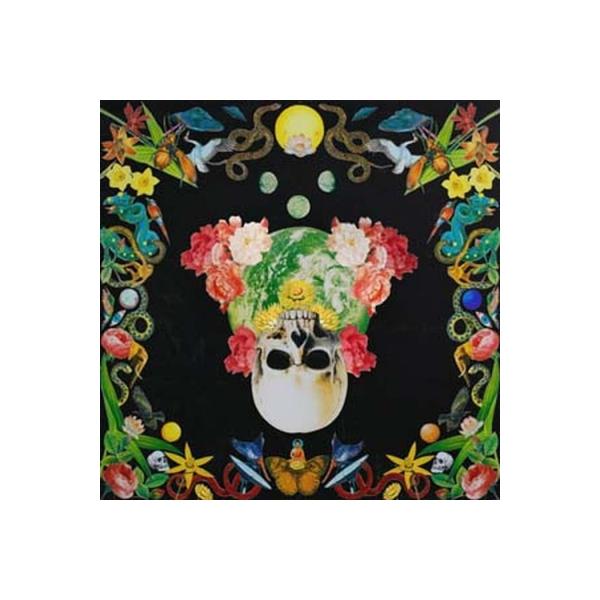 発売日:2026年03月10日 / ジャンル:ロック / フォーマット:LP / 組み枚数:1 / レーベル:Heavy Psych Sounds / 発売国:Europe / 商品番号:HPS-285LP / アーティストキーワード:Hi...