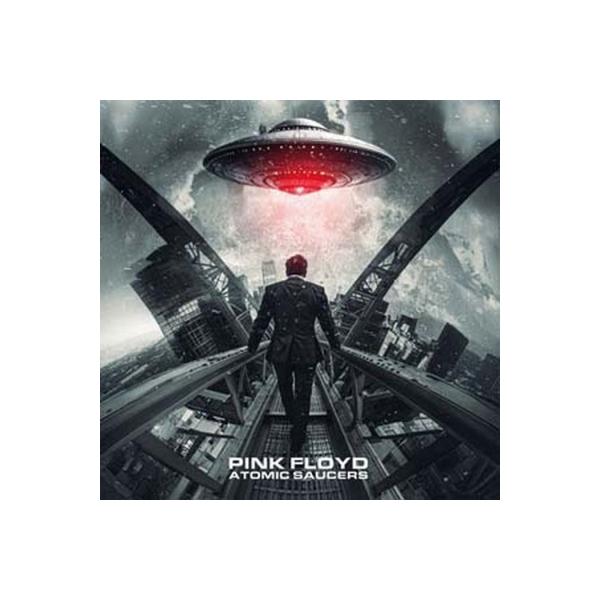 発売日:2026年03月20日 / ジャンル:ロック / フォーマット:LP / 組み枚数:2 / レーベル:Parachute / 発売国:UK / 商品番号:PARA-530LP / アーティストキーワード:Pink Floyd ピンク...