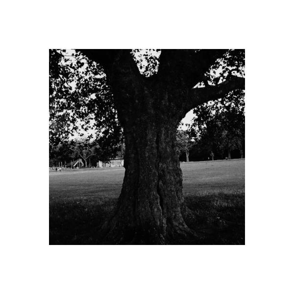 発売日:2026年01月16日 / ジャンル:ロック / フォーマット:LP / 組み枚数:1 / レーベル:Xl / 発売国:Europe / 商品番号:XL-1575LP / アーティストキーワード:Archy Marshall