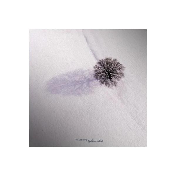 発売日:2026年02月20日 / ジャンル:ロック / フォーマット:LP / 組み枚数:1 / レーベル:Psychonaut / 発売国:Europe / 商品番号:PSYN-0032 / その他:限定盤 / アーティストキーワード:...