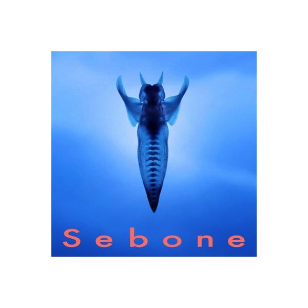 発売日:2026年03月25日 / ジャンル:ジャパニーズポップス / フォーマット:CD / 組み枚数:1 / レーベル:ポニーキャニオン / 発売国:日本 / 商品番号:PCCA-06465 / アーティストキーワード:とた  / タイ...