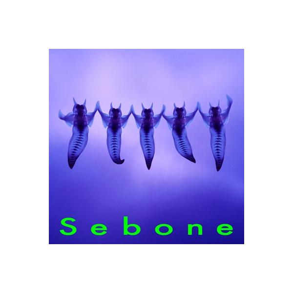 発売日:2026年03月25日 / ジャンル:ジャパニーズポップス / フォーマット:CD / 組み枚数:1 / レーベル:ポニーキャニオン / 発売国:日本 / 商品番号:PCCA-06464 / アーティストキーワード:とた  / タイ...