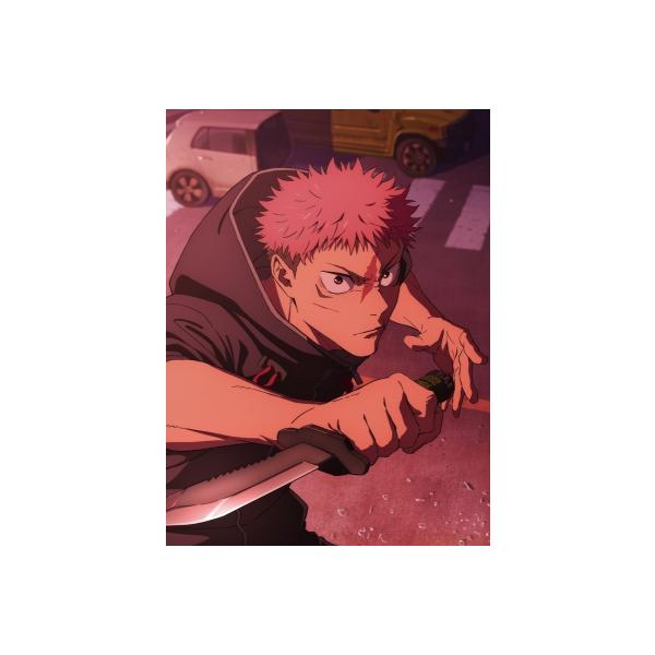 発売日:2026年04月15日 / 監督:御所園翔太 / ジャンル:アニメ / フォーマット:DVD / 組み枚数:1 / リージョンコード:2(日本) / 信号方式:NTSC(日本) / レーベル:東宝 / 発売国:日本 / 商品番号:T...