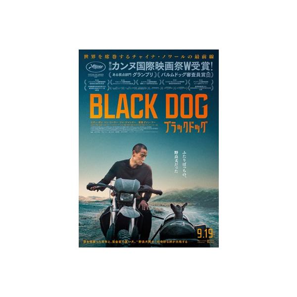 発売日:2026年05月13日 / 監督:グァン・フー / キャスト:エディ・ポン（彭于晏）,トン・リーヤー / ジャンル:洋画 / フォーマット:DVD / 組み枚数:1 / リージョンコード:2(日本) / 信号方式:NTSC(日本) ...